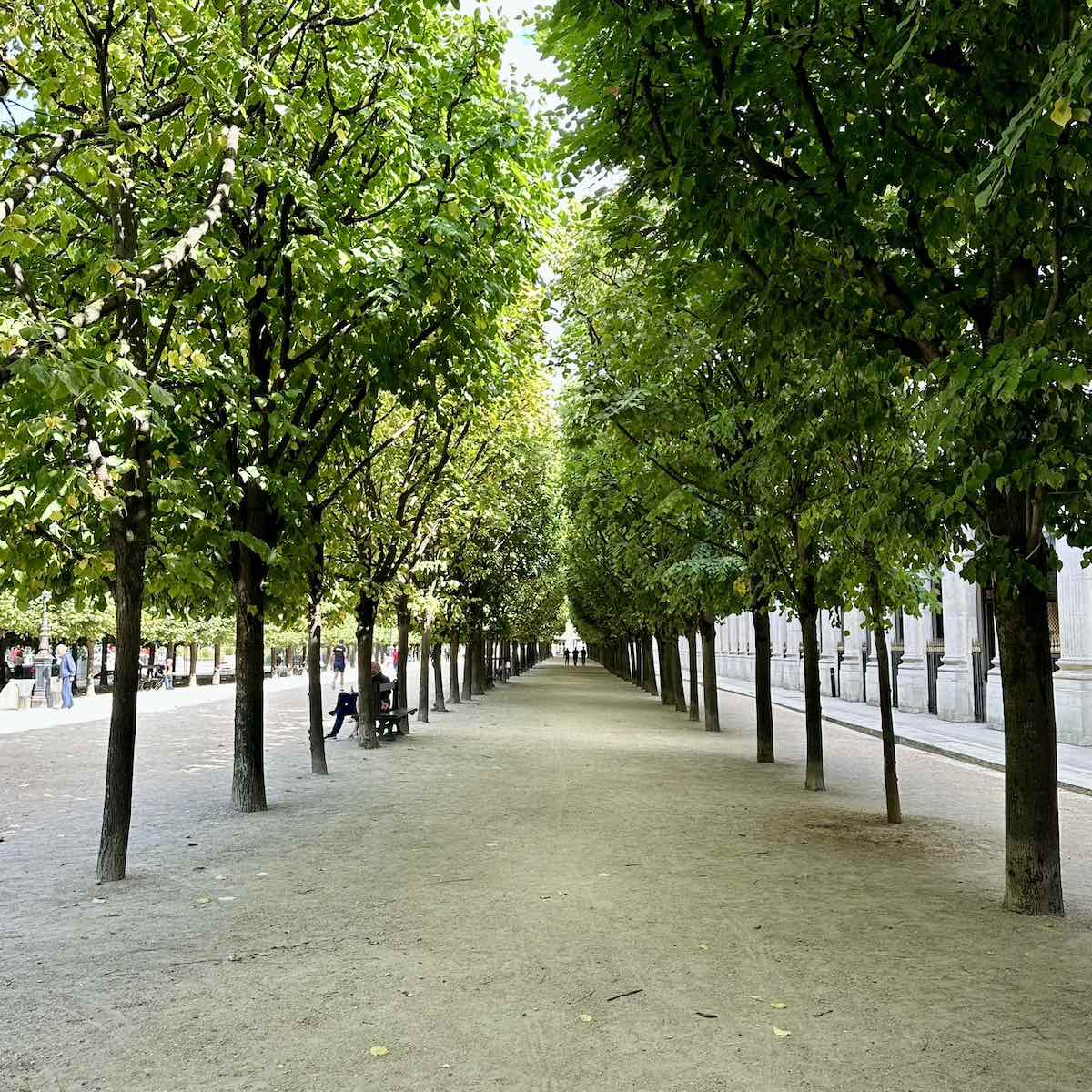 Idées de balades sympas à Paris - pariscrea.com